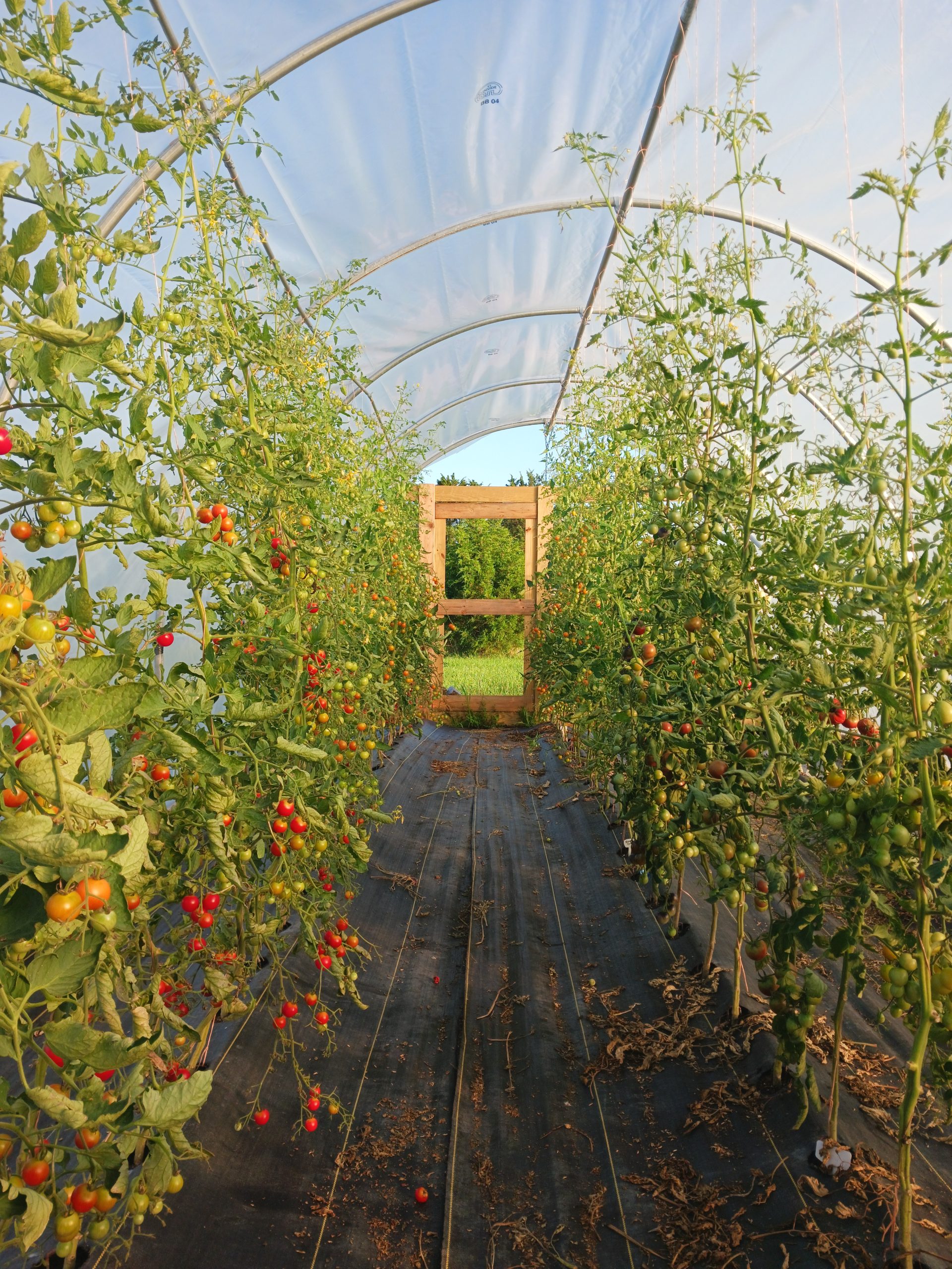 Pennington Market Farm – of Nokesville, Virginia